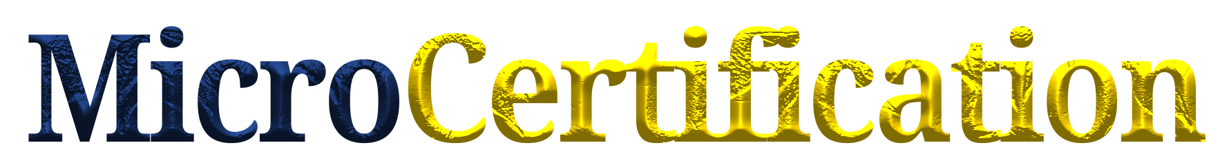 What We Do - Micro Certification
